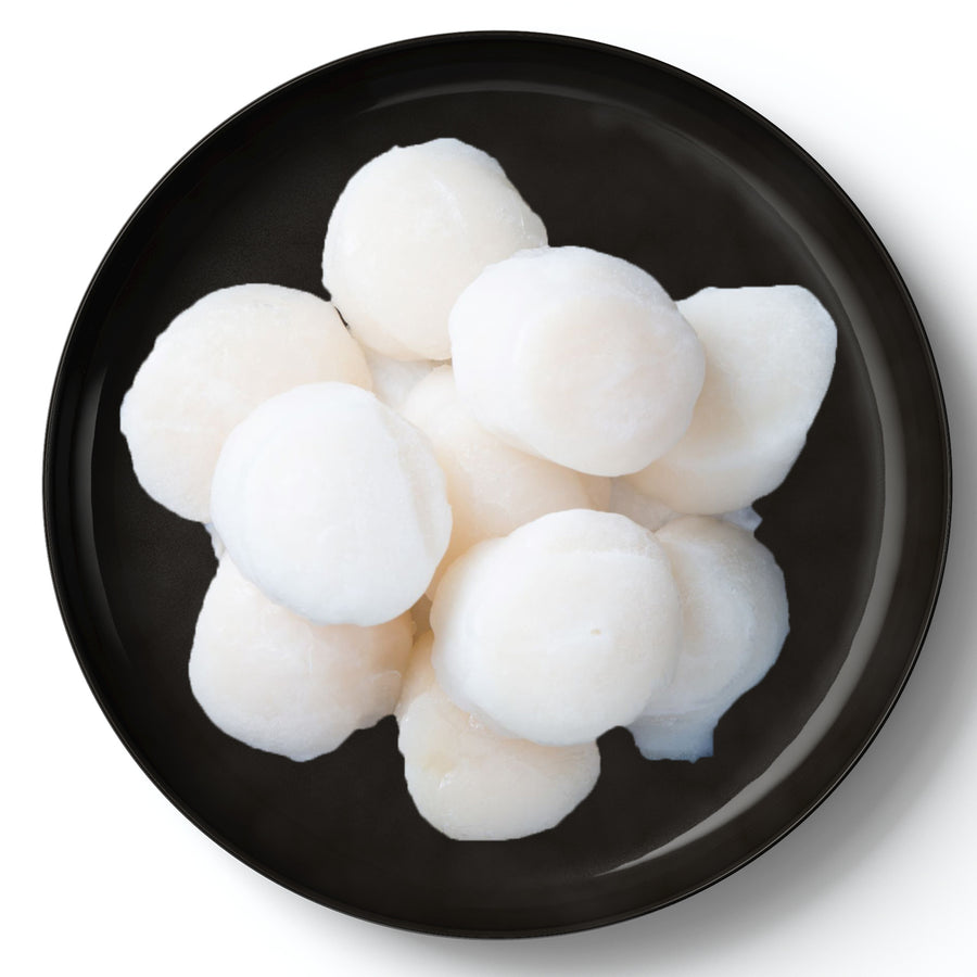 Frozen Scallop | 375g – Hen Tick Foods